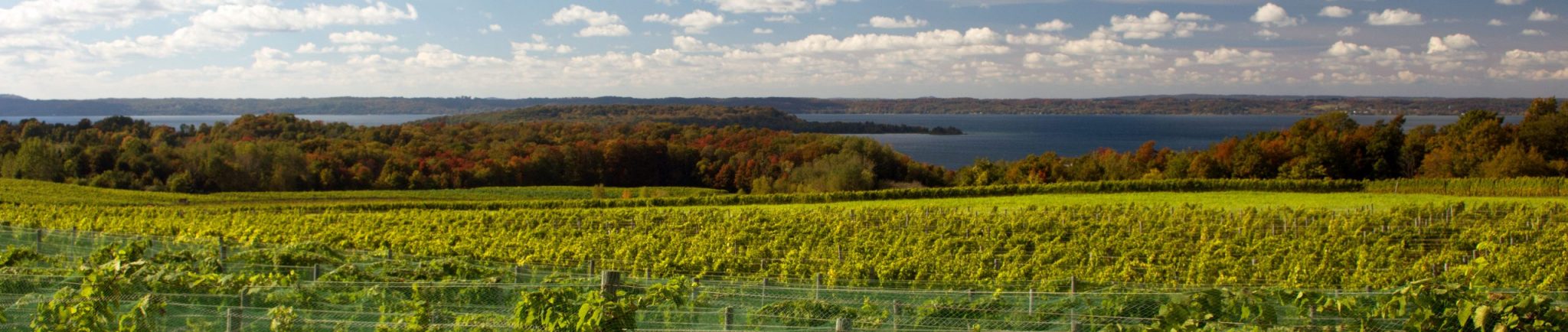 Old Mission and Traverse City Wineries | TC Wine Guide